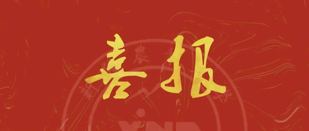 我校多项作品在2022年自治区大学生网络文化节中获奖 工作 高校 教育工委