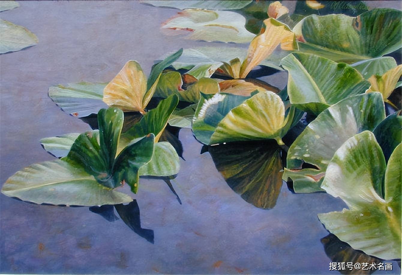 超写实精湛的动物绘画艺术︱艺术大师D.J.Cleland-Hura -6park.com