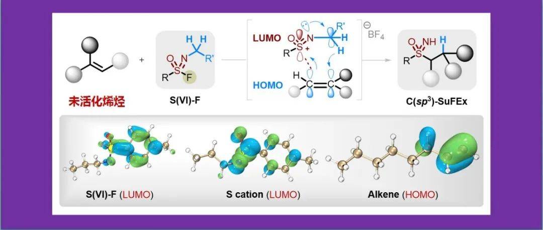 华东师范大学姜雪峰课题组Angew：高价硫的C-SuFEx链接_反应_分子_药物