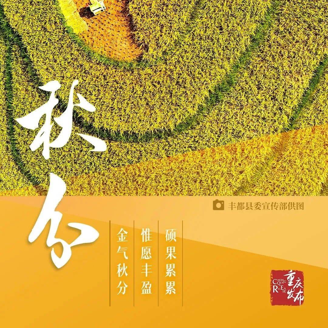 【资讯0923】今日秋分｜全国硕士研究生招生考试明起报名_重庆_来源_小区