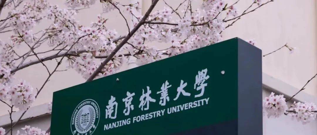 @NJFUer，不同速度下的NJFU，快来一起体验_Vol_校园_脚步