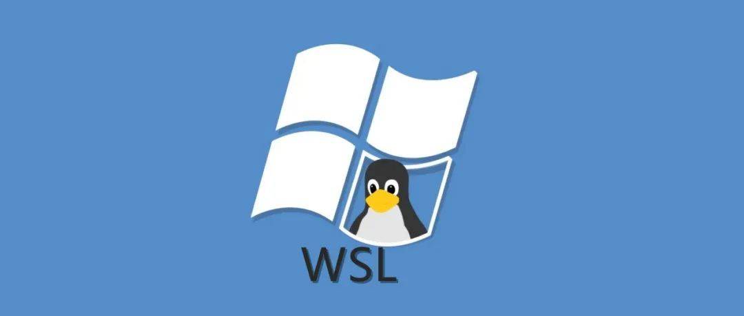 Linux 的 Windows 子系统 WSL 现在带来期待已久的支持_运行_版本_功能
