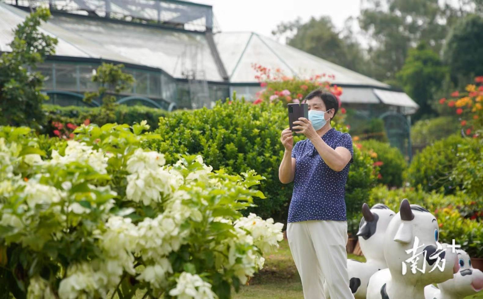 13种濒危植物首展!华南国家植物园系列花展别错过沙漠包括生物