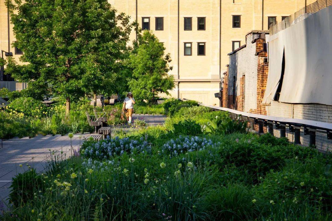 本月主题：后工业景观 | 案例合集来啦！！_公园_设计_德国