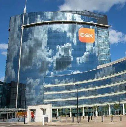 超越K药？GSK一线治疗NSCLC成功，TIM3药物联用孵化新机会_试验_化疗_患者