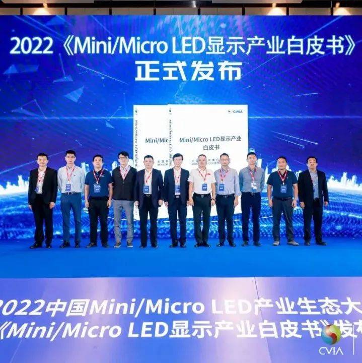 《2022Mini/Micro LED显示产业白皮书》正式发布，助推显示强国建设_技术_应用_Mini