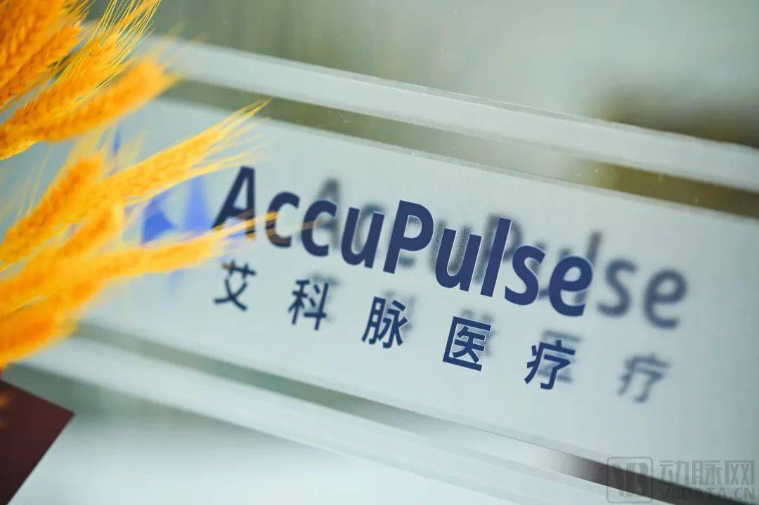 13年电生理老兵躬身入局，原始创新研发磁电定位三维PFA解决方案_阴杰_艾科_测系统