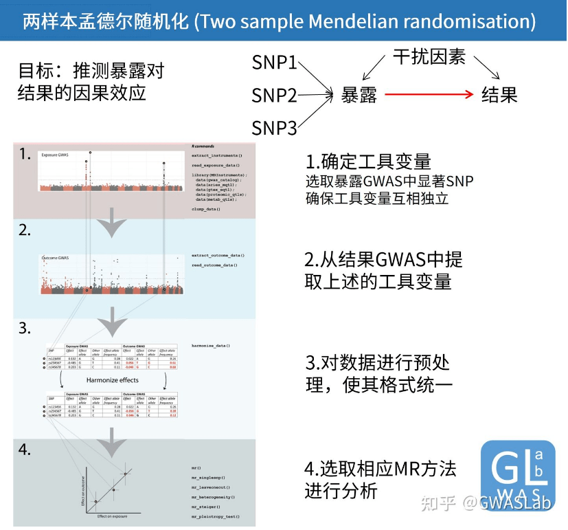 超级好用！这个R包在GWAS分析中常见，实用！好学！_进行_The_读取
