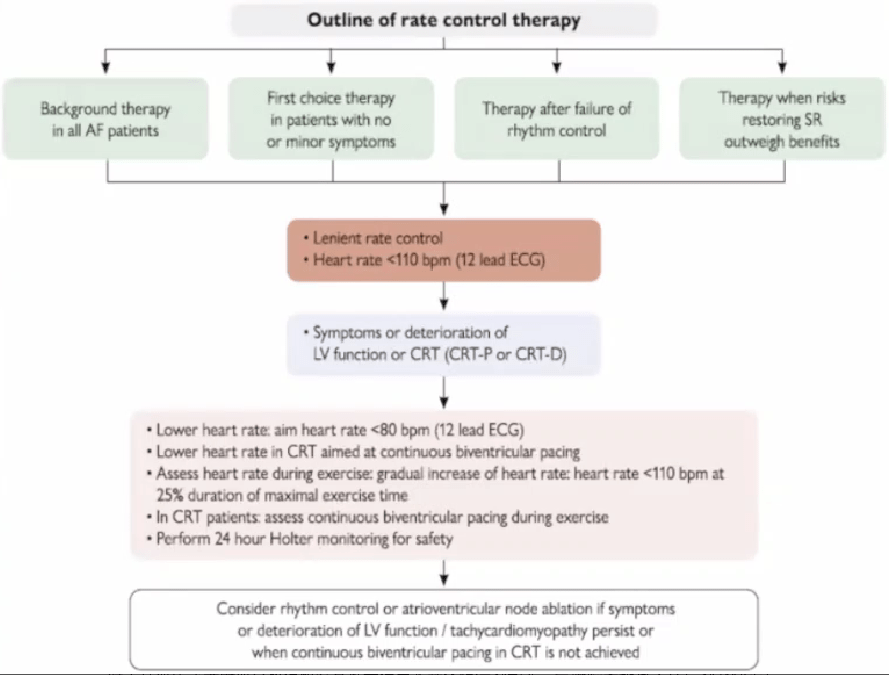 抗心律失常药物在房颤节律与室率控制中的选择 | GW-ICC 2022_患者_研究_治疗