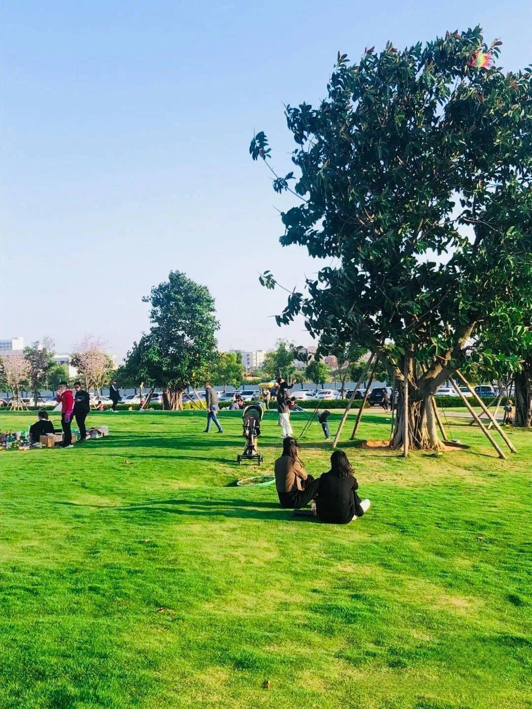 翔安下潭尾湿地公园，满眼皆是风景！_红树林_sdfd_栈道