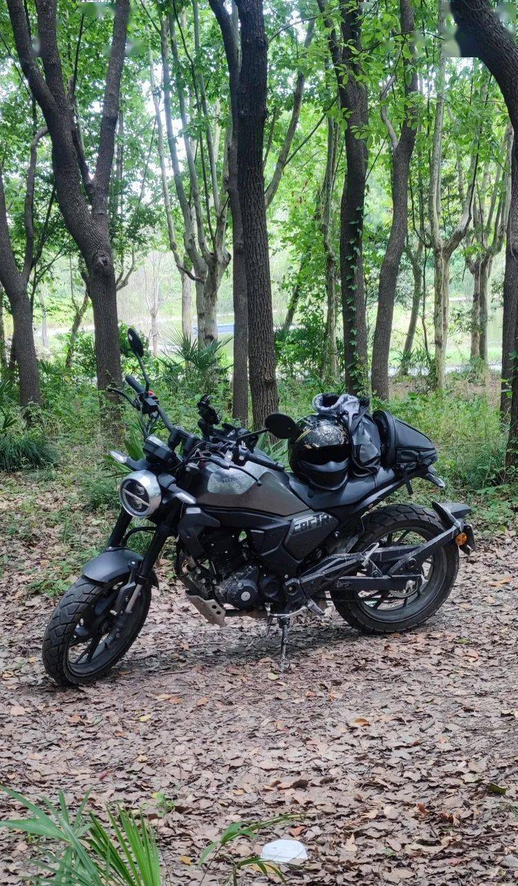 转让 | 本田CBF 190 TR_搜狐汽车_搜狐网