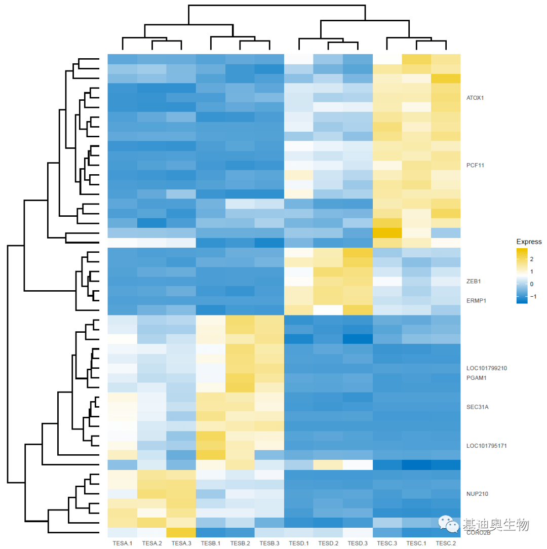 个性化热图如此简单？加分组/指定基因标签什么的简直小case！_row_df
