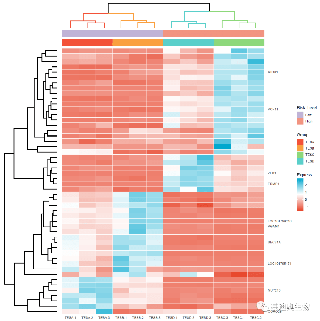 个性化热图如此简单？加分组/指定基因标签什么的简直小case！_row_df