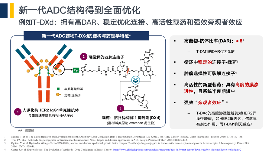 CSCO 2022丨葛睿教授：靶向HER2的新技术研究进展_治疗_药物_阳性