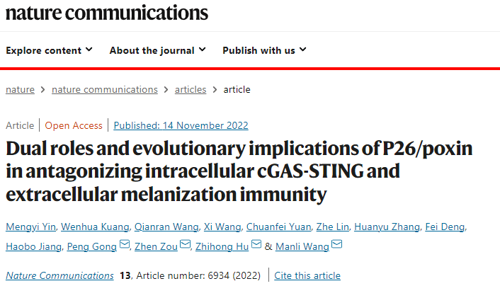 【前沿速递】武汉病毒所等揭示了P26/poxin蛋白具有抑制宿主胞外和胞内两种天然免疫反应通路的双重功能_研究_黑化_昆虫
