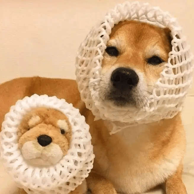 CBA涌现新晋顶级前锋！贺希宁稳步提升，实力获球迷力挺进军国家队_得分_本赛季_比赛