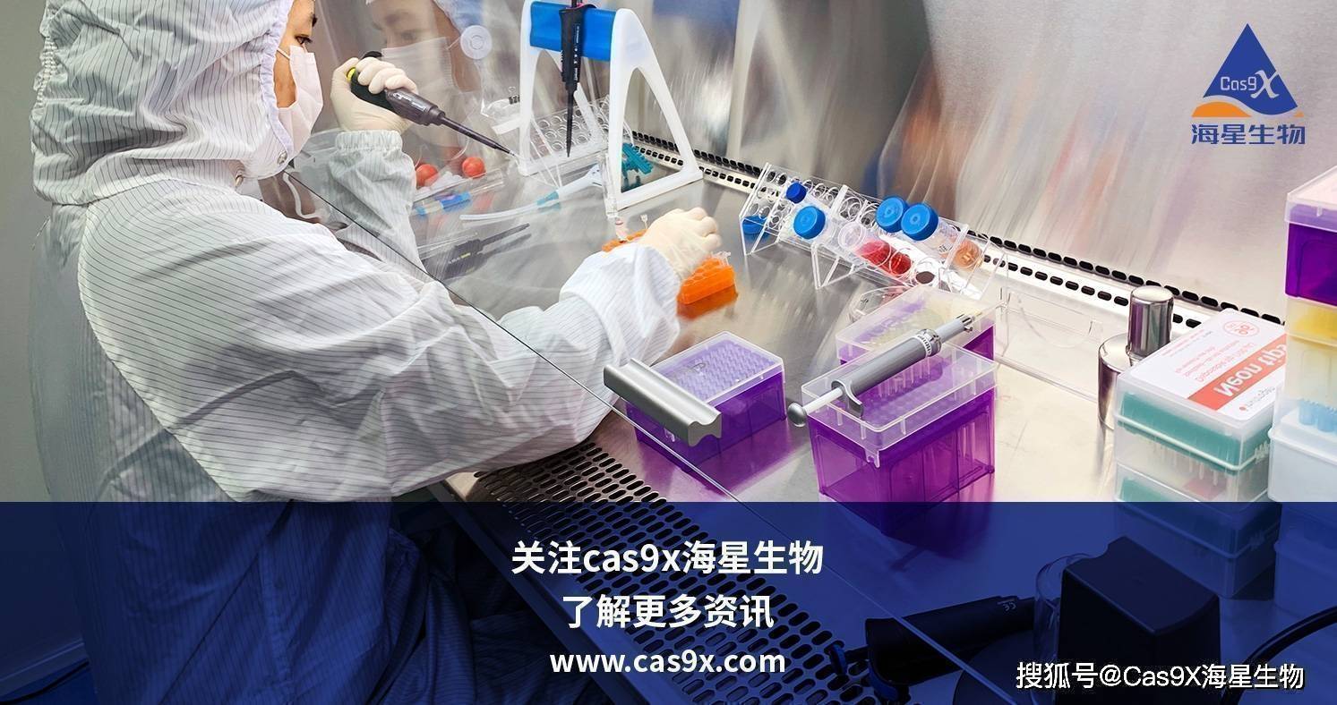 基因编辑的新工具—Prime Editing_系统_pegRNA_Adamso