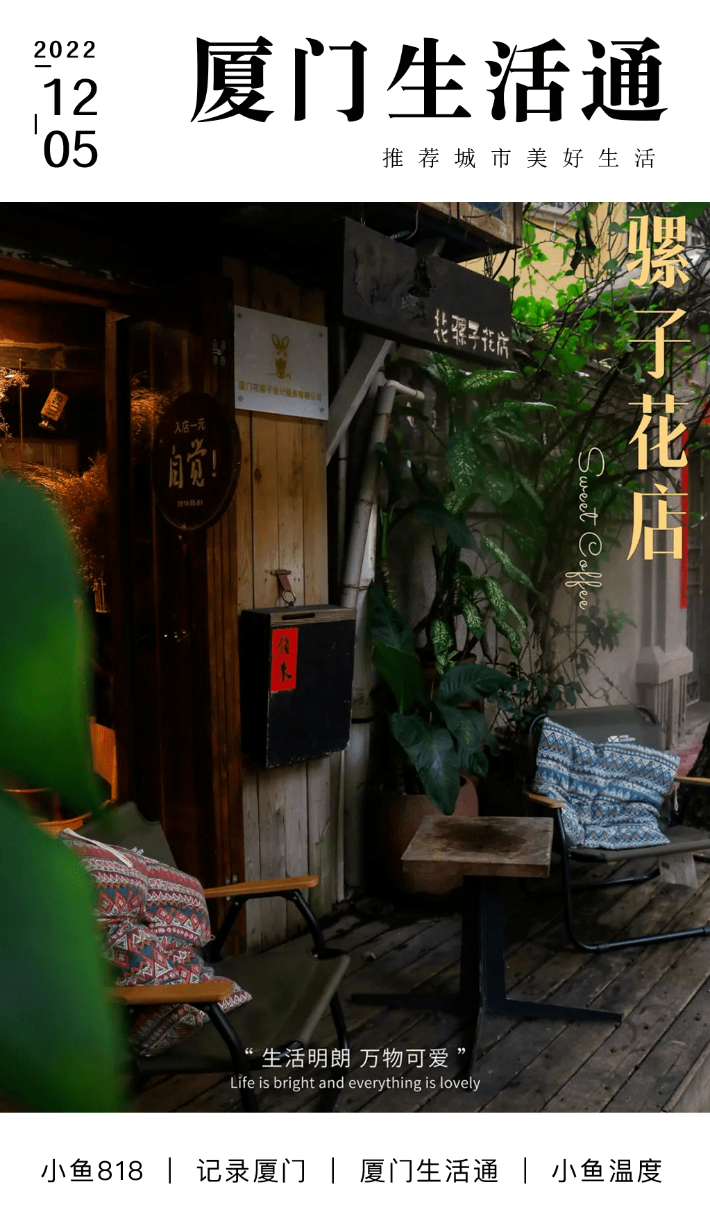 大同中学边上的 森林小屋”，一不小心成了厦门年轻人私藏12年的秘密基地！小鱼骡子一家