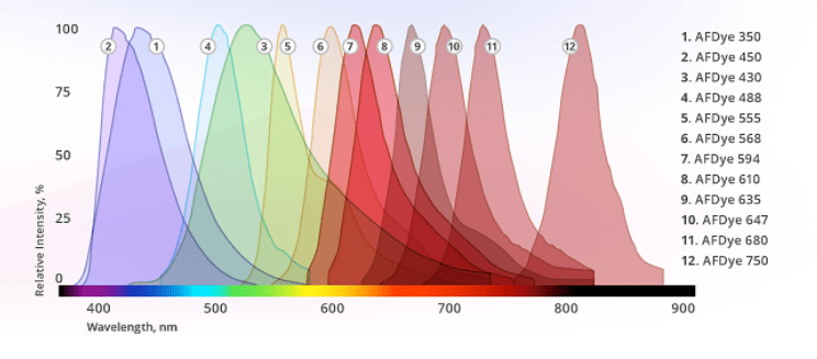 AF488-标记羊抗鼠免疫球蛋白(H+L)，Alexa Fluor 488是一种明亮的绿色荧光探针_山羊_nm_光谱