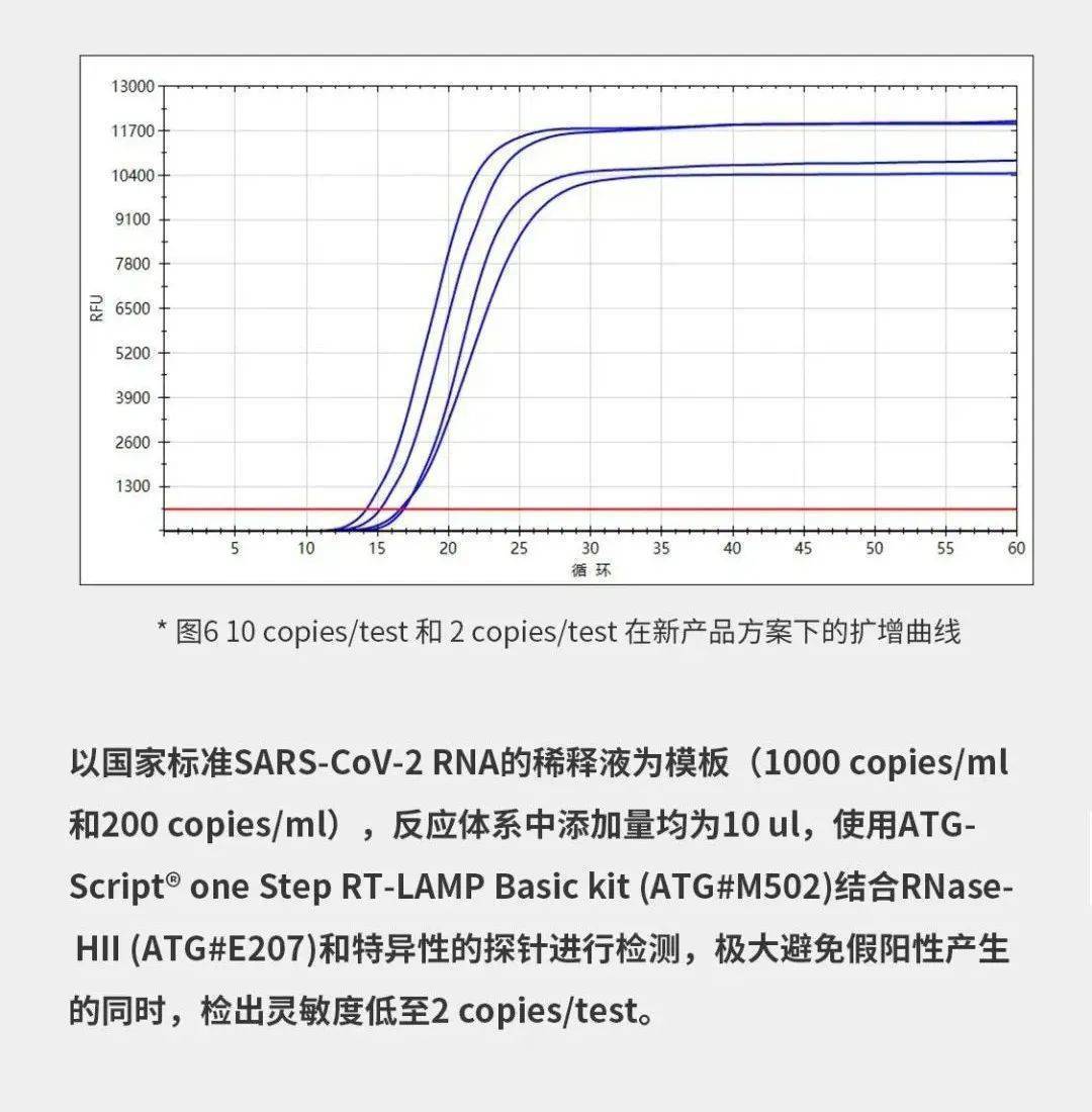 思路 | RNase HII——分子快检LAMP法的葵花点穴手_进行_检测_反应