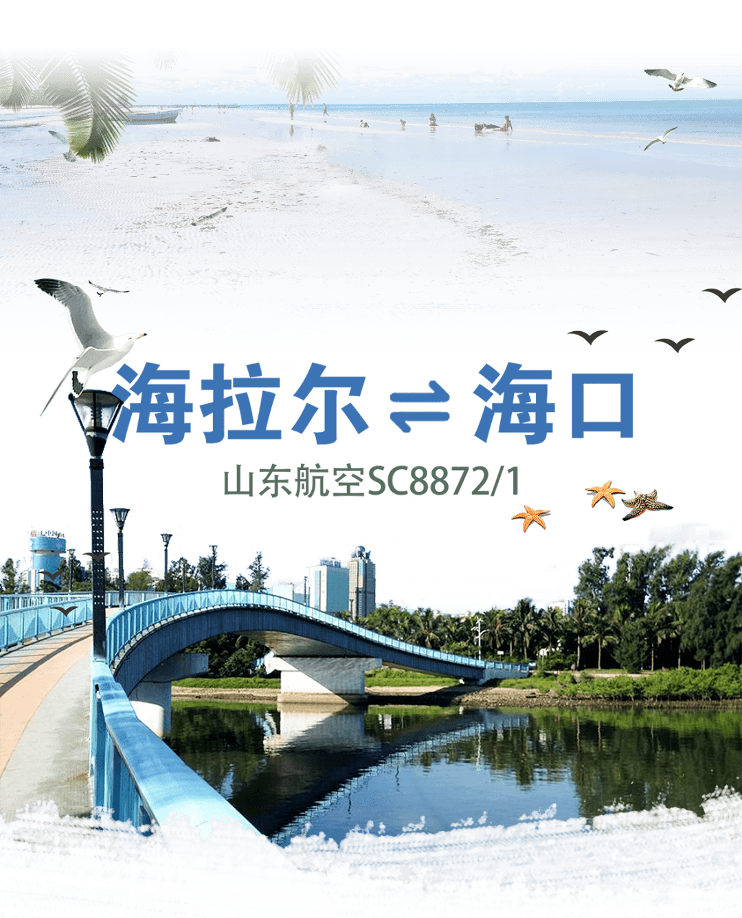 【出行信息】12月12日起恢复海拉尔至海口往返航班_呼伦贝尔