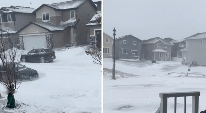 太疯狂！亚裔女子初到加拿大惊呼：这场面只在电影见过！_Azie_暴雪_Andrian