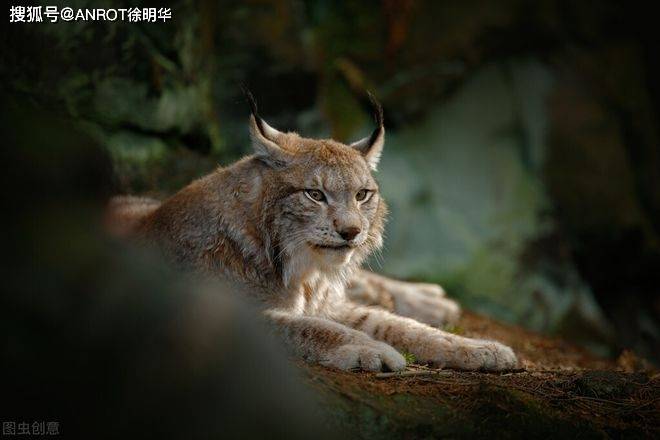 帕杰罗V97/93怎么提升动力|HKS机械增压_搜狐汽车_搜狐网