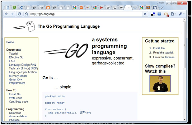 “Go 2” 正式落地，中国 Gopher 踏上新征程！_语言_技术_网站