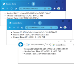 《ASP.NET Core 6框架揭秘实例》演示[35]：利用Session保留语境_方法_状态_进行