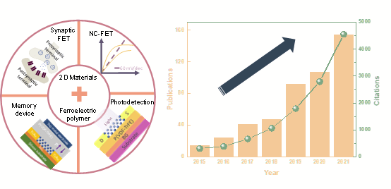 香港理工郝建华课题组APR：二维薄膜/铁电聚合物P(VDF-TrFE)的界面工程与器件应用_材料_领域