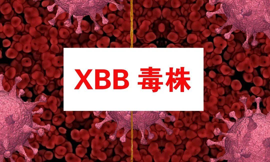 刚刚通报，又一地发现XBB！如何应对二次感染？官方回应_免疫_变异_密克