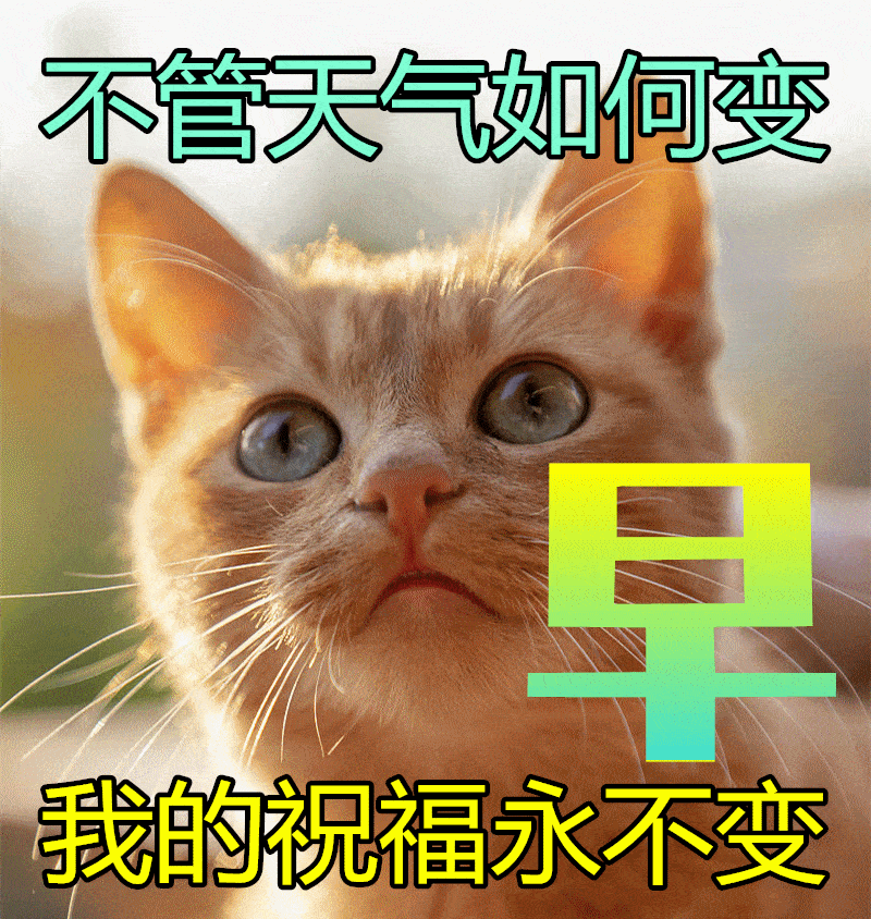 早上好表情包，一帆风顺，事事顺心，一切都美好！