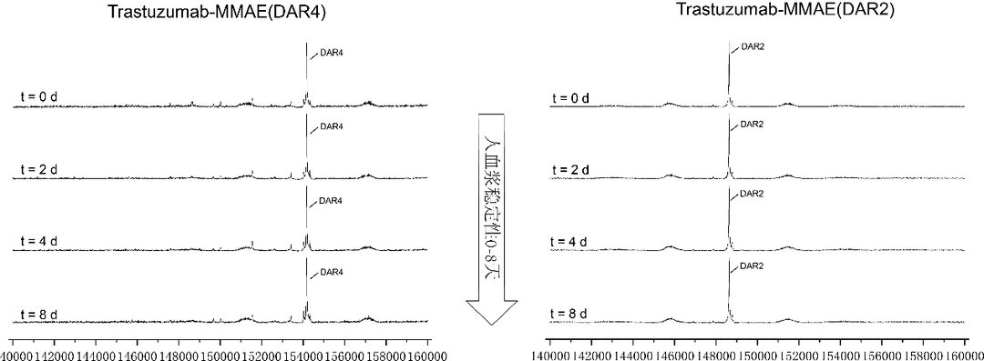 【新品来袭】ADC定点偶联试剂盒现货发售_抗体_药物_进行