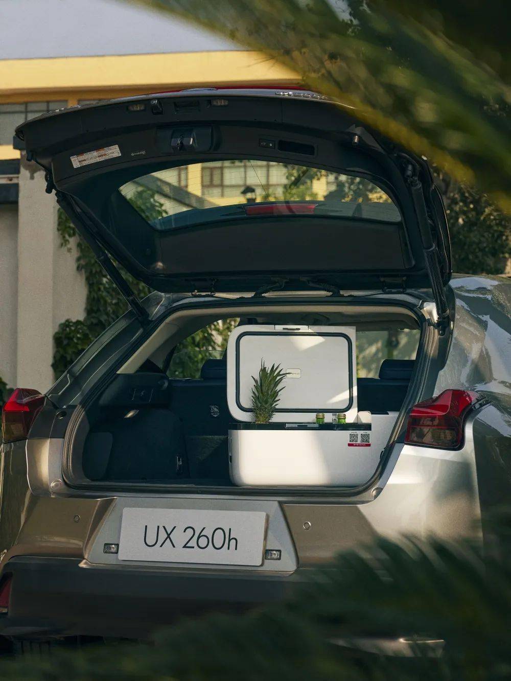 雷克萨斯UX260h | 小进化 大不同！_搜狐汽车_搜狐网