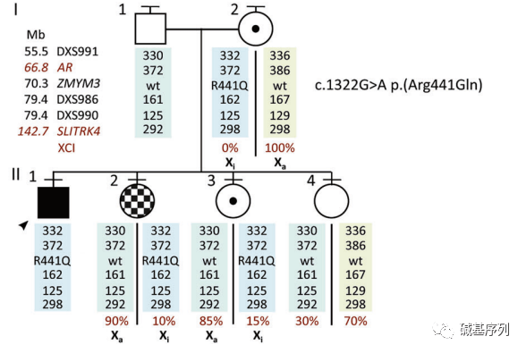 X染色体失活检测有助于提高X连锁遗传病的诊断率_变异_基因_偏移