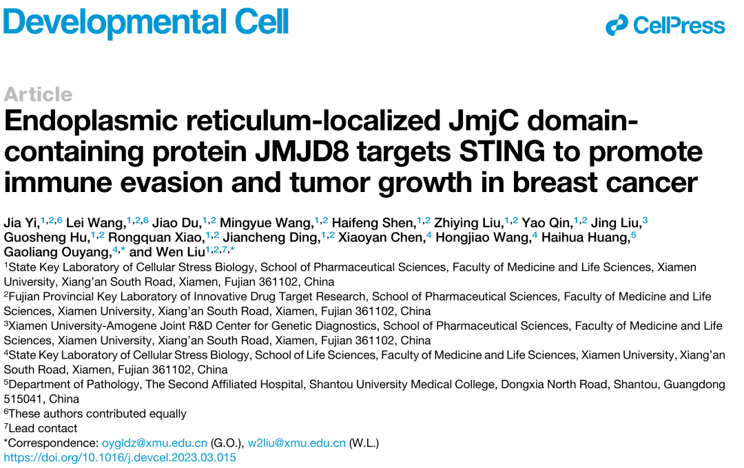 Dev Cell | 刘文/欧阳高亮团队揭示JMJD8促进乳腺癌发生发展的功能和分子机制_免疫_研究_通路