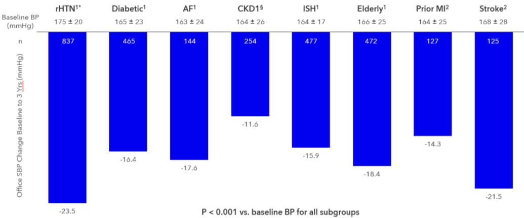 RDN齐绽EuroPCR，美敦力将RDN从世界带向中国，推动RDN从中国亮相世界_研究_血压_患者