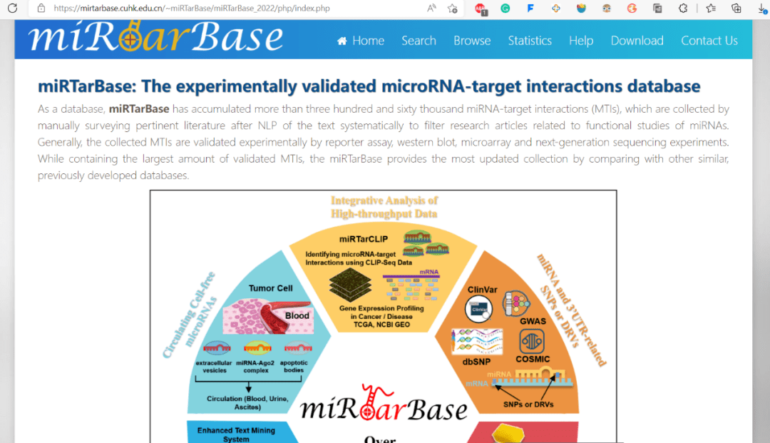 十分钟一张miRNA-靶基因互作网络图！看这篇就够了！_相关_进行_数据库