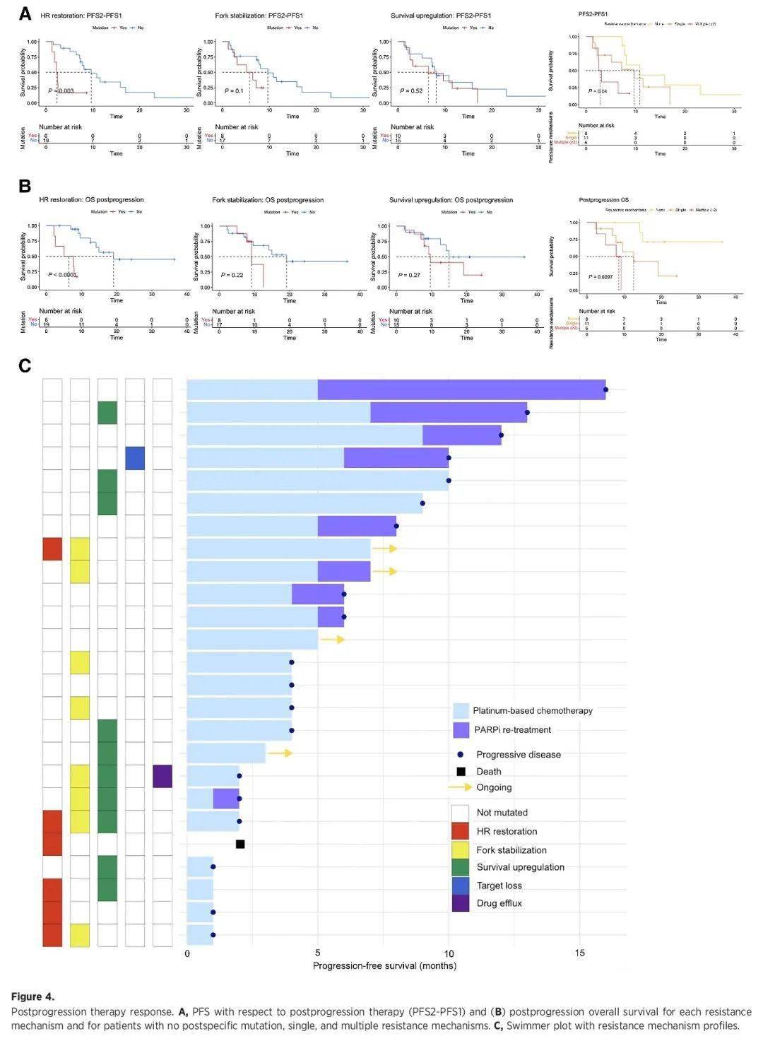 血液ctDNA分析BRCA突变卵巢癌PARPi耐药机制及预后生存_患者_治疗_研究