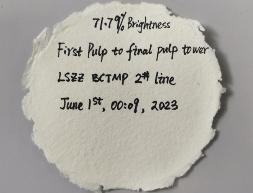 屡创佳绩，恭贺联盛 2号 BCTMP 线顺利开机_美德_漳浦_服务