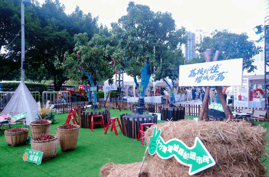 荔枝到“佳”，增城给“荔”！十万颗增城荔枝惠送广州市民_派对_文化_品牌