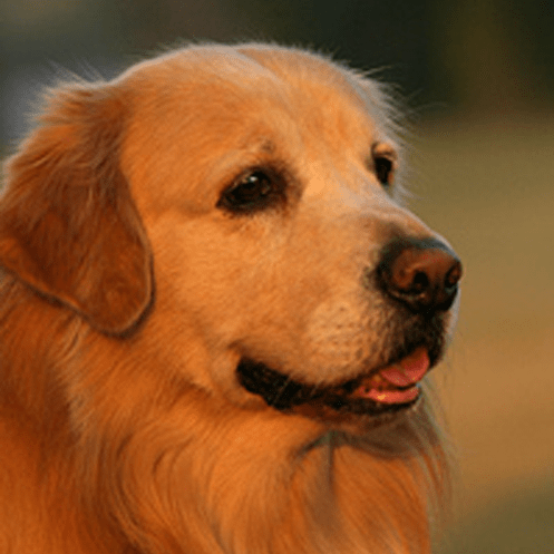 MD、TVD和TVDSS是怎么定义的？之间有什么样的联系呢？_海拔_深度_钻井