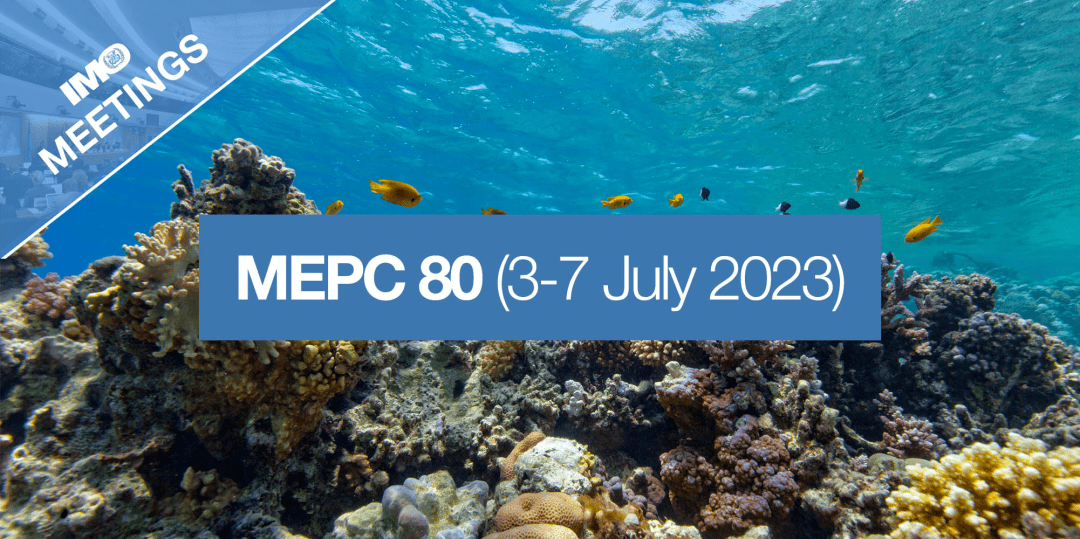 现代航运史最重要的时刻——MEPC 80_会议_的国家_问题