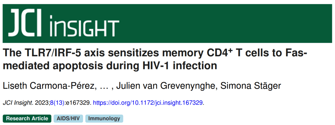 JCI Insight | 科学家发现艾滋病毒感染者细胞死亡的机制_研究_淋巴细胞_ger