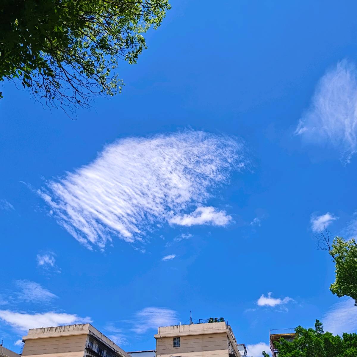 冠军因感冒缺席！基米希能否出战美国队成谜_球迷_比赛_球员