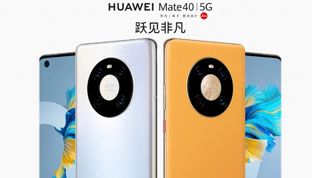 华为Mate 60外观曝光，星环经典设计回归，网友：荣耀X50赢麻了_系列_影像