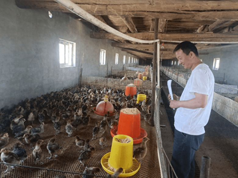 高台县宣化镇畜牧兽医工作站：“三步走”做好跨省调入动物落地监管工作_隔离_检查_监督