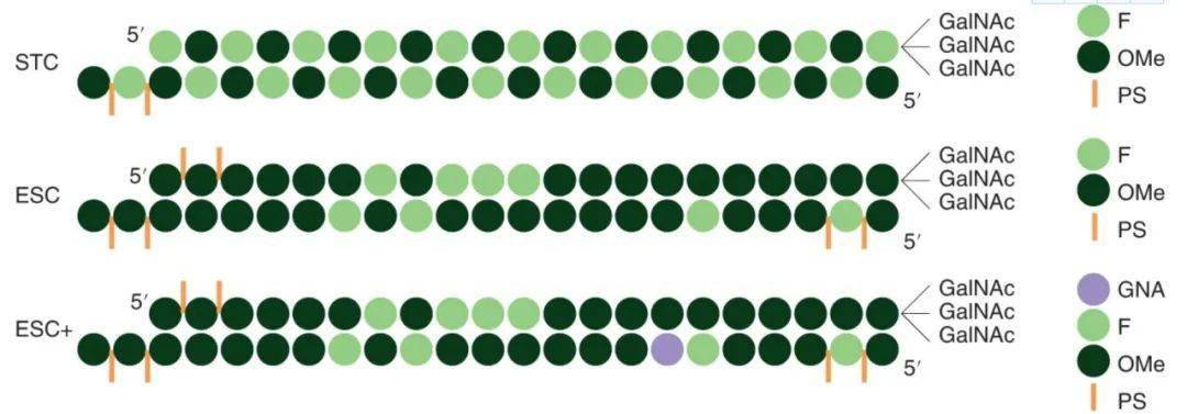 Alnylam: 引领RNAi二十年，目标成为TOP5 Biotech_GalNAc_siRNA_核酸