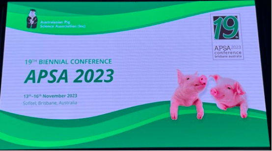 APSA 2023会议见解(一)_Pig_演讲_澳大利亚