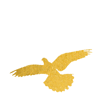 【团员和青年主题教育】坚强核心专题丨铸牢坚强核心，坚定理想信念_建设_中国_我国